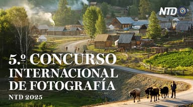 FDA aprueba Zevaskyn, nueva terapia génica para la piel - Últimas ...